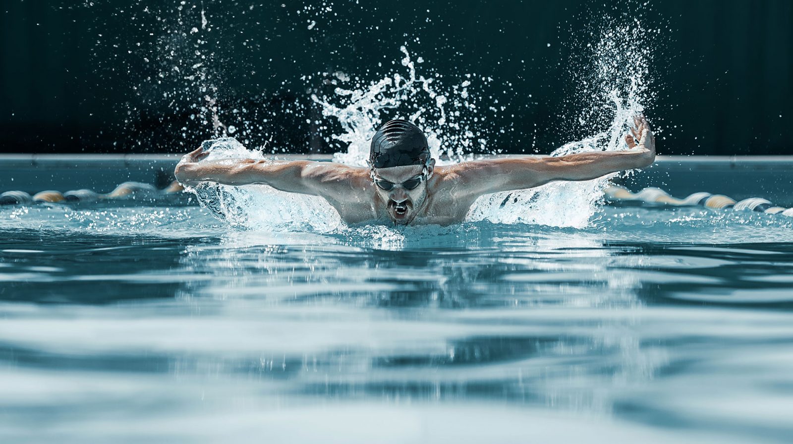 Speedo - FineBrandz